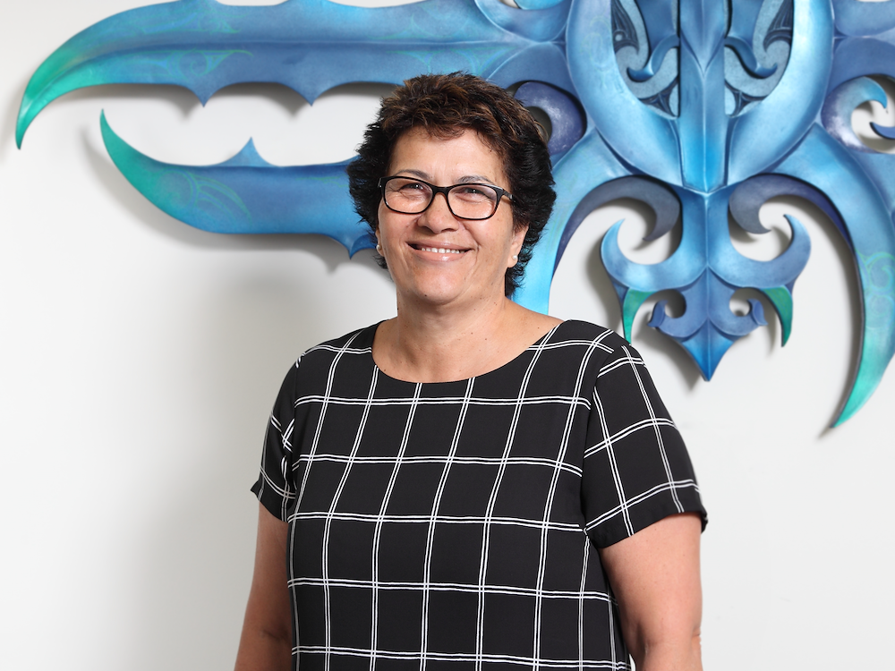 Te Puni Kōkiri — Kāinga