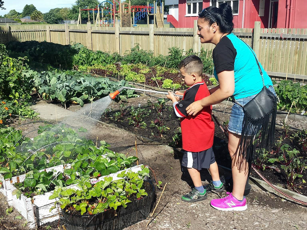 Te Puni Kōkiri — Kāinga
